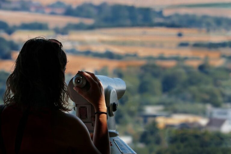 What Does FOV Stand For? - Telescope Guru