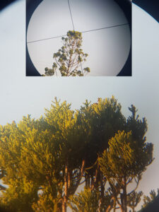 How to Setup a Telescope Equatorial Mount - Telescope Guru