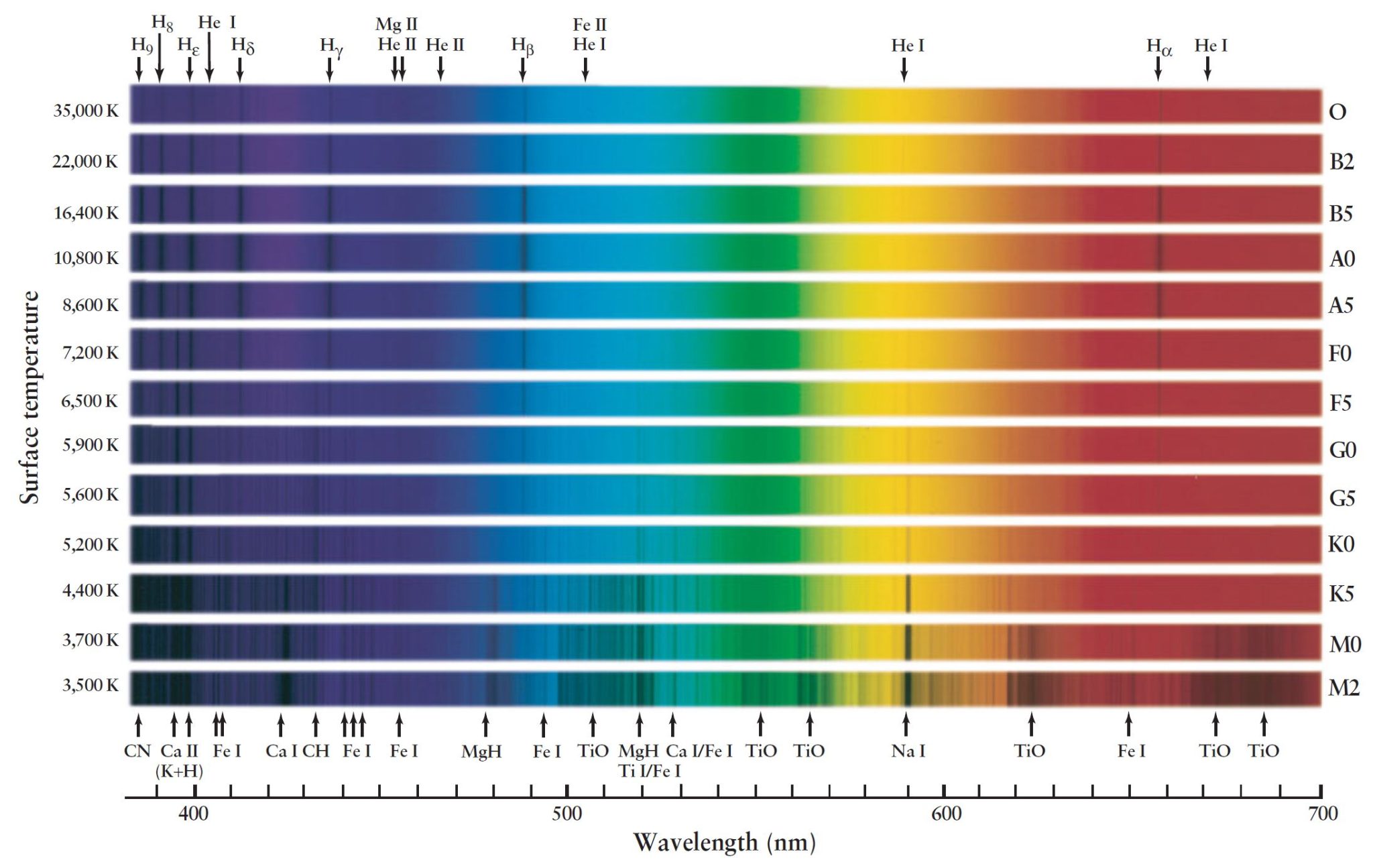 How do Scientists Classify Stars? - Telescope Guru